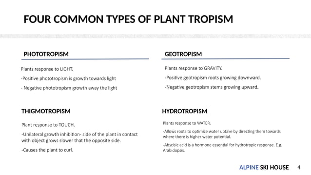 Life Sciences Plant Tropism PRESENTATION.pptx