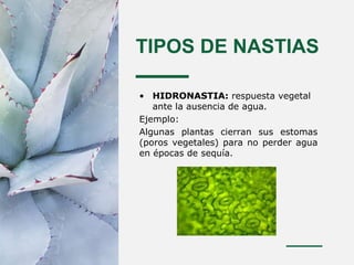 Tropismos y nastias | PPTX