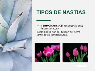 Tropismos y nastias | PPTX
