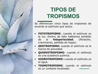 Tropismos y nastias | PPTX