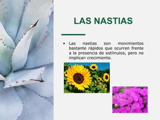 Tropismos y nastias | PPTX