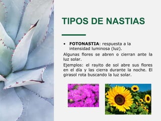 Tropismos y nastias | PPTX