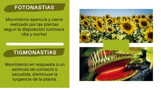 TROPISMO_Y_NASTIAS.pdf