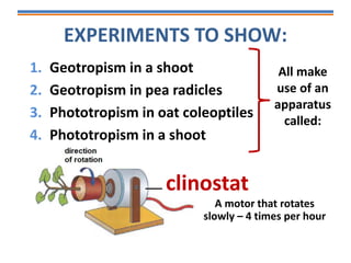 Geotropism Tropisms
