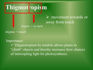 Tropism (slide share) | PPTX