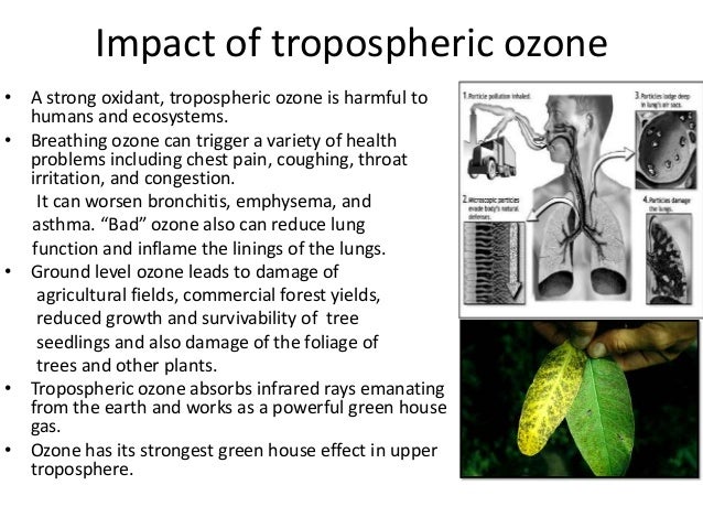 Tropospheric ozone
