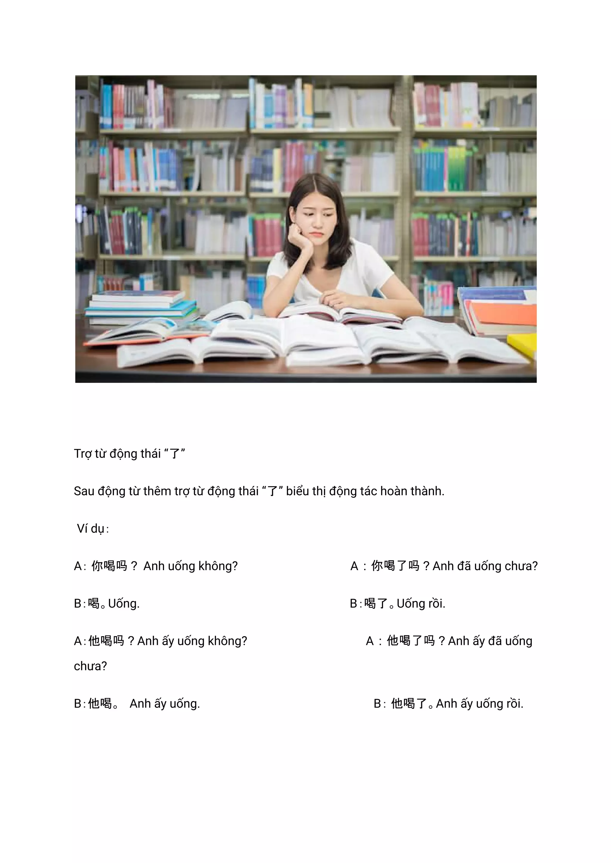 Tro tu ngu khi 了 | PDF