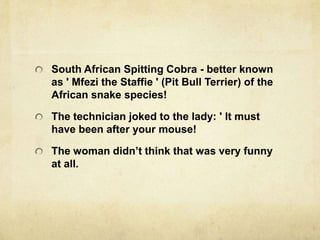 Trouble shooting a computer | PPTX