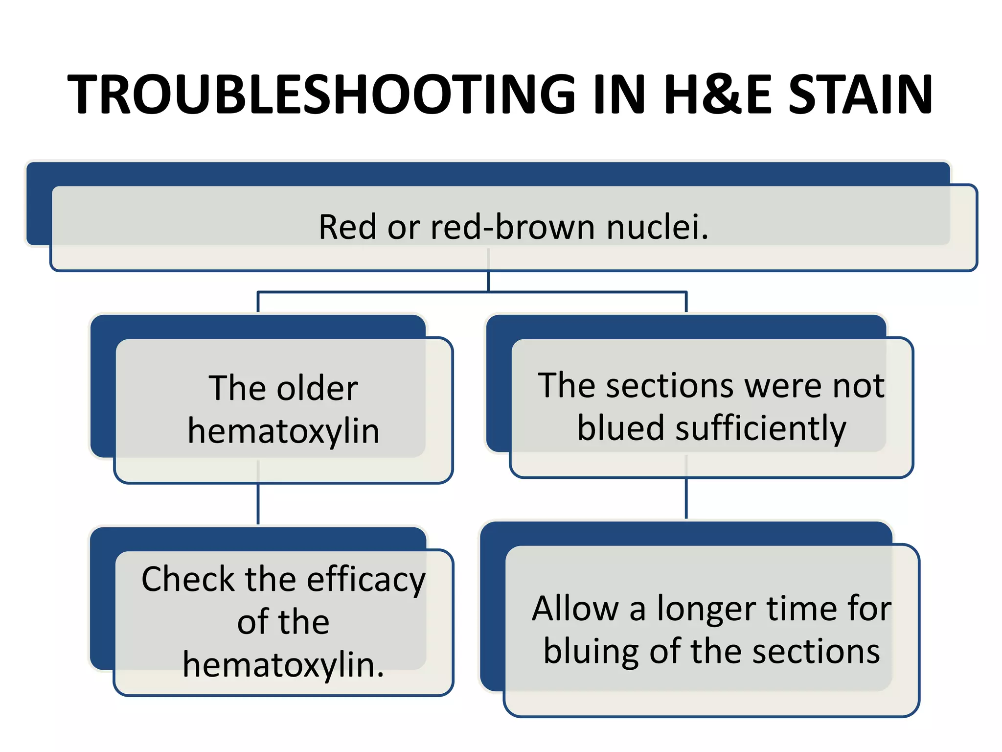 Troubleshooting in H&E Staining | PPTX