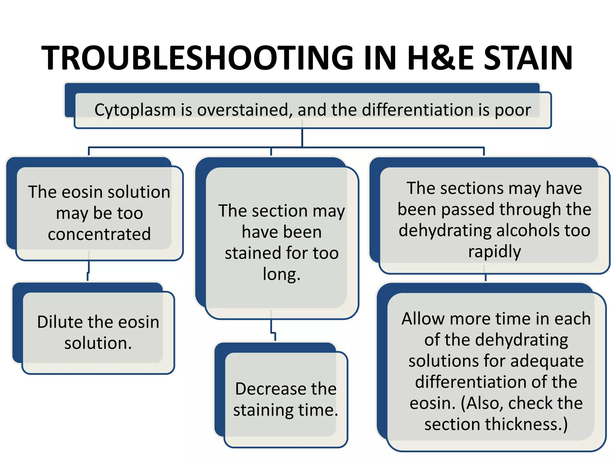 Troubleshooting in H&E Staining | PPTX