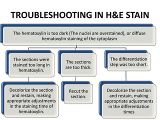 Troubleshooting in H&E Staining | PPTX
