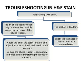 Troubleshooting in H&E Staining | PPTX