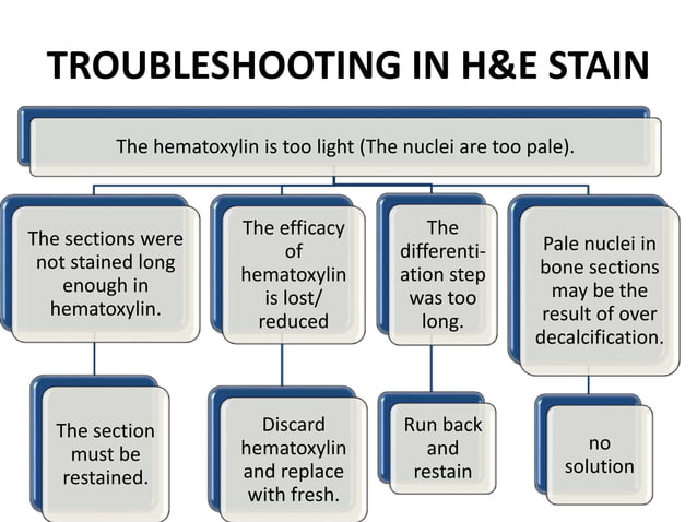 Troubleshooting in H&E Staining | PPTX