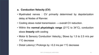 Troubleshooting in Nerve Conduction and EMG Studies : Technical Errors ...