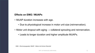 Troubleshooting in Nerve Conduction and EMG Studies : Technical Errors ...