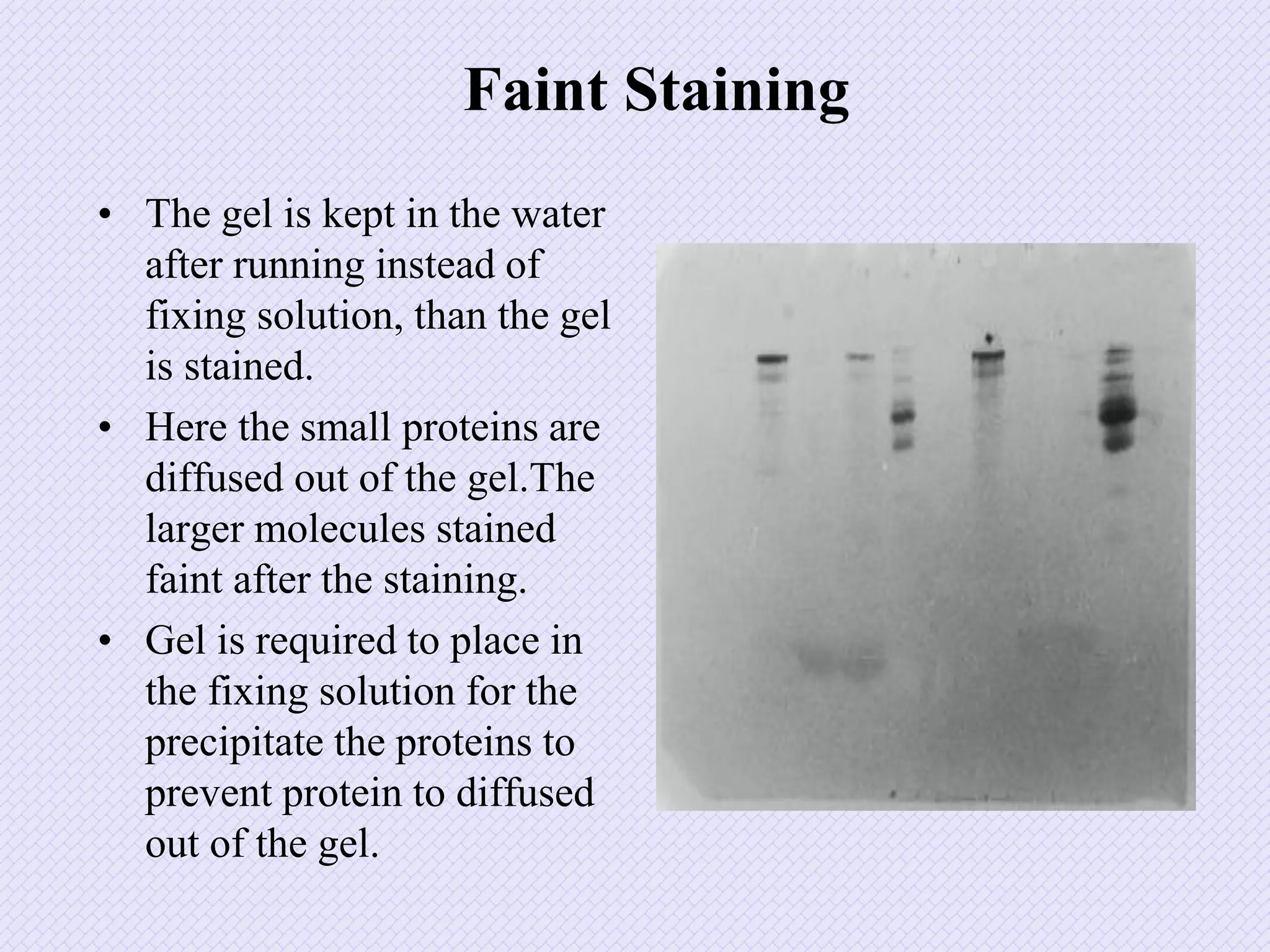 Trouble Shooting of SDS PAGE Analysis | PDF