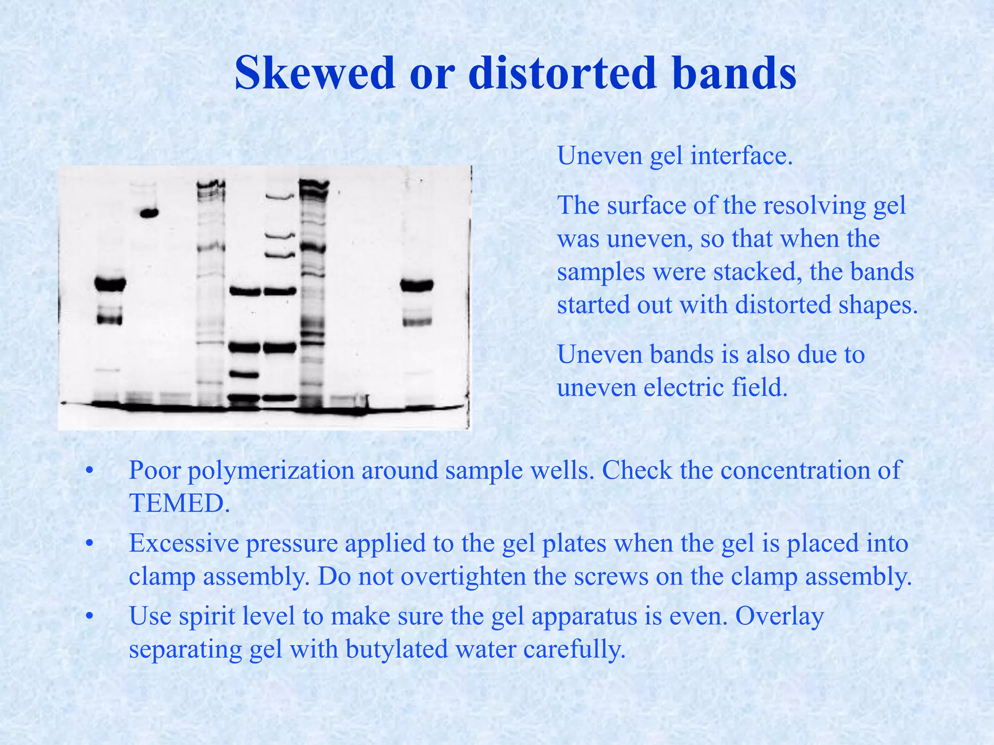 Trouble Shooting of SDS PAGE Analysis | PDF