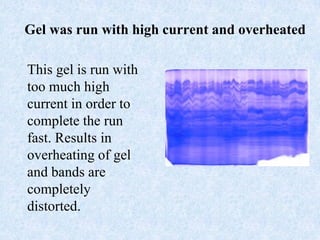 Trouble Shooting of SDS PAGE Analysis | PDF