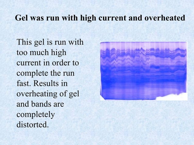 Trouble Shooting of SDS PAGE Analysis | PDF | Chemistry | Science