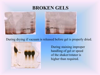 Trouble Shooting of SDS PAGE Analysis | PDF