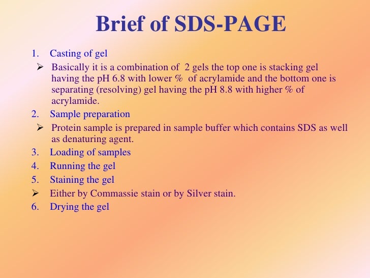 Trouble Shooting of SDS PAGE Analysis