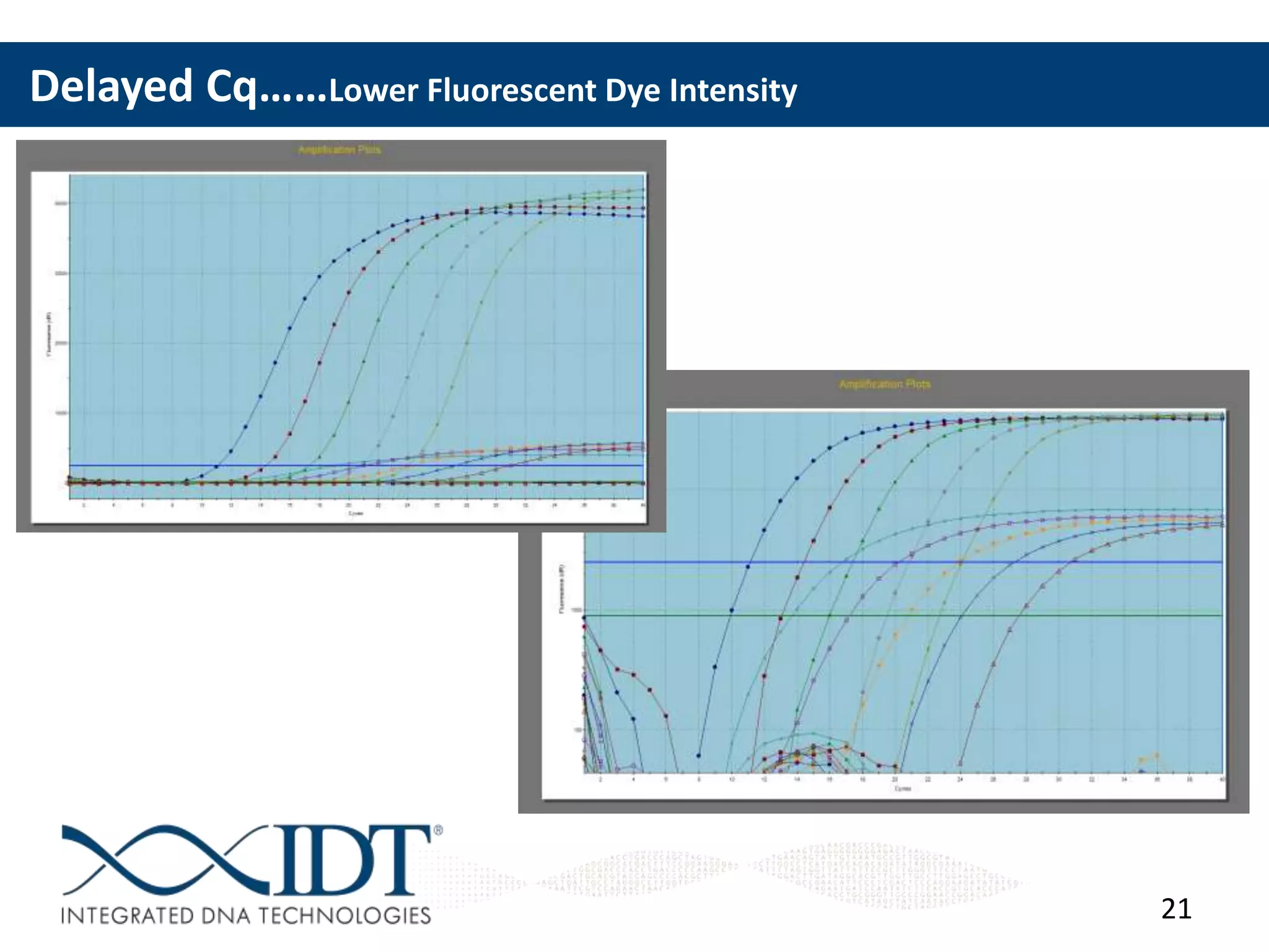 Troubleshooting qPCR: What Are My Amplification Curves Telling Me? | PPTX