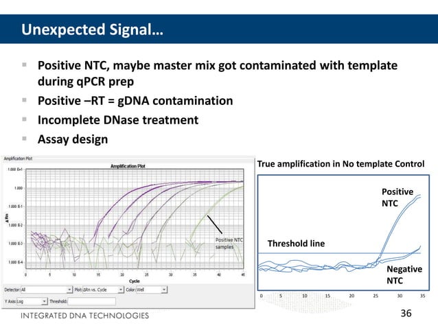Troubleshooting qPCR: What Are My Amplification Curves Telling Me? | PPTX
