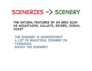 Troublesome collective nouns | PDF