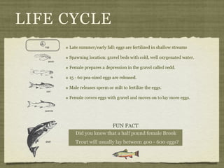 Trout in the classroom | PDF