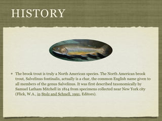 Trout in the classroom | PPT