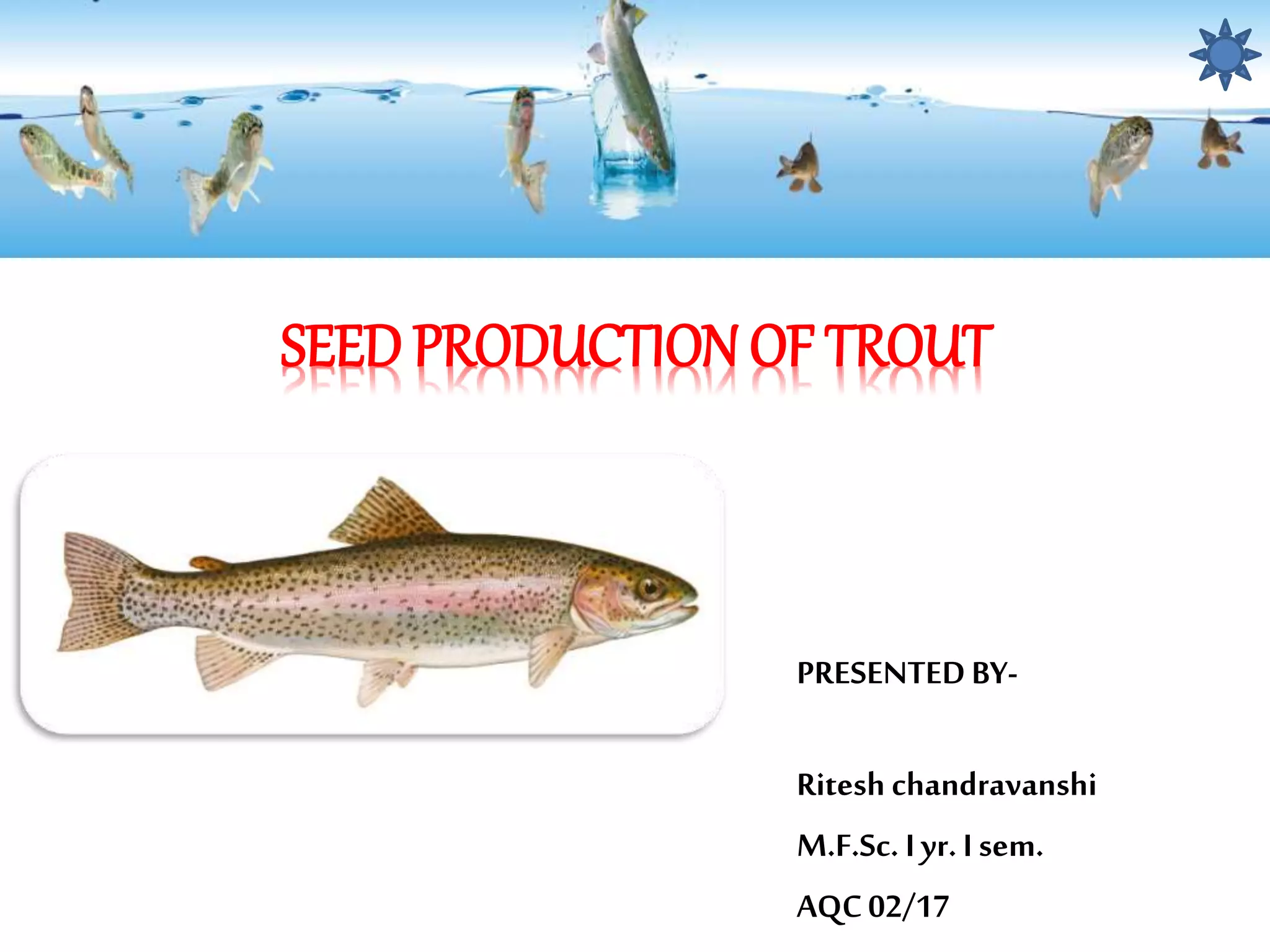 Hatchery management of Trout & present status in india ,ritesh | PPTX