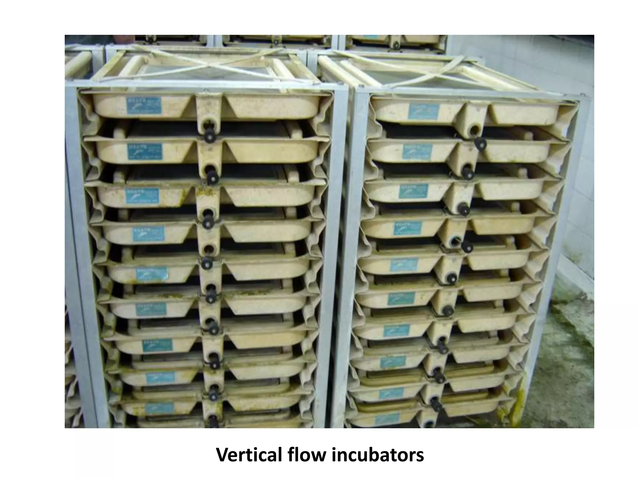 Hatchery management of Trout & present status in india ,ritesh | PPTX
