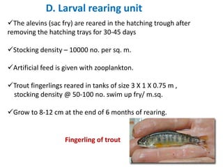 Hatchery management of Trout & present status in india ,ritesh | PPTX