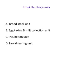 Hatchery management of Trout & present status in india ,ritesh | PPTX