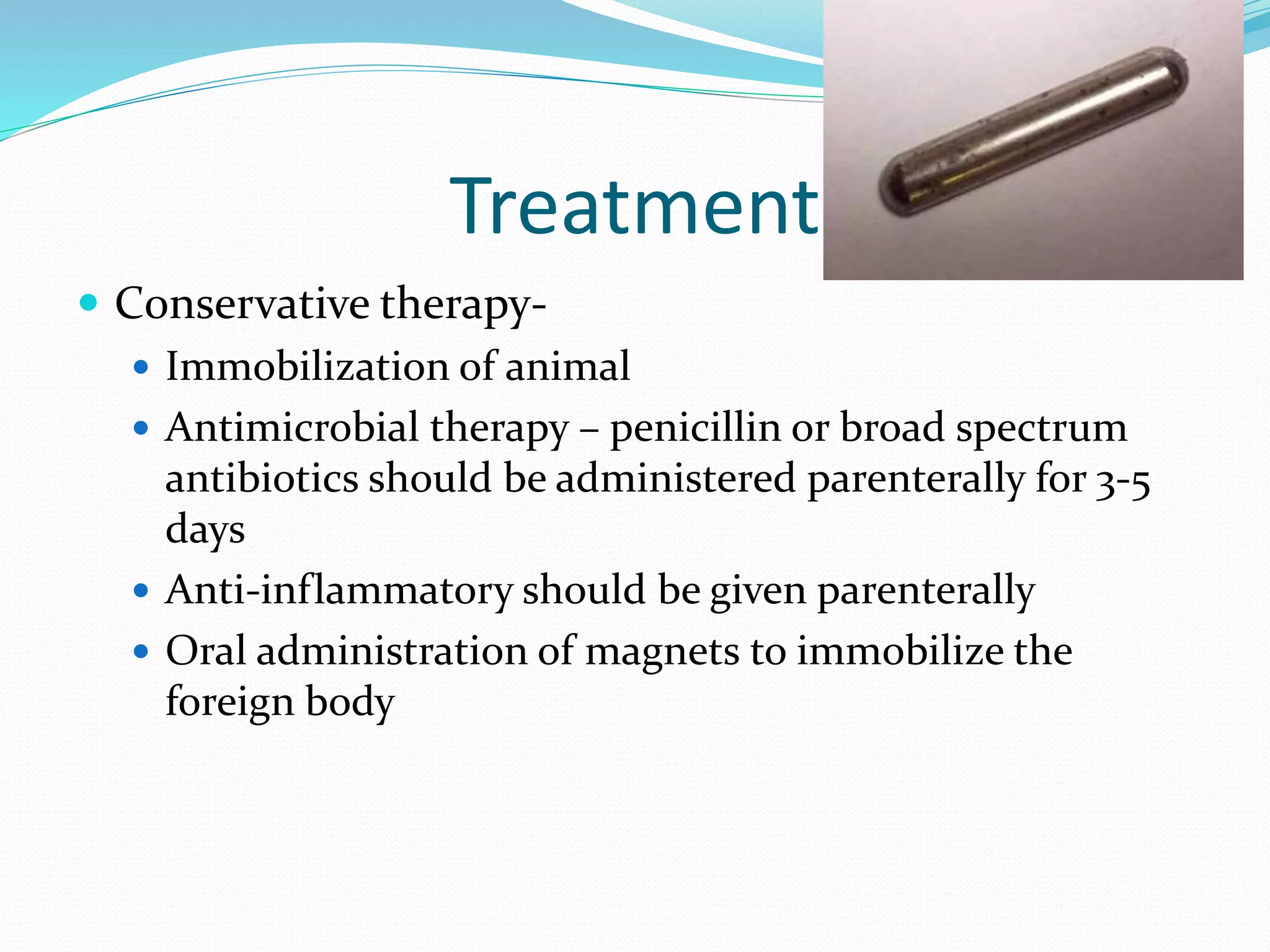 Traumatic reticuloperitonitis , traumatic pericarditis | PPTX