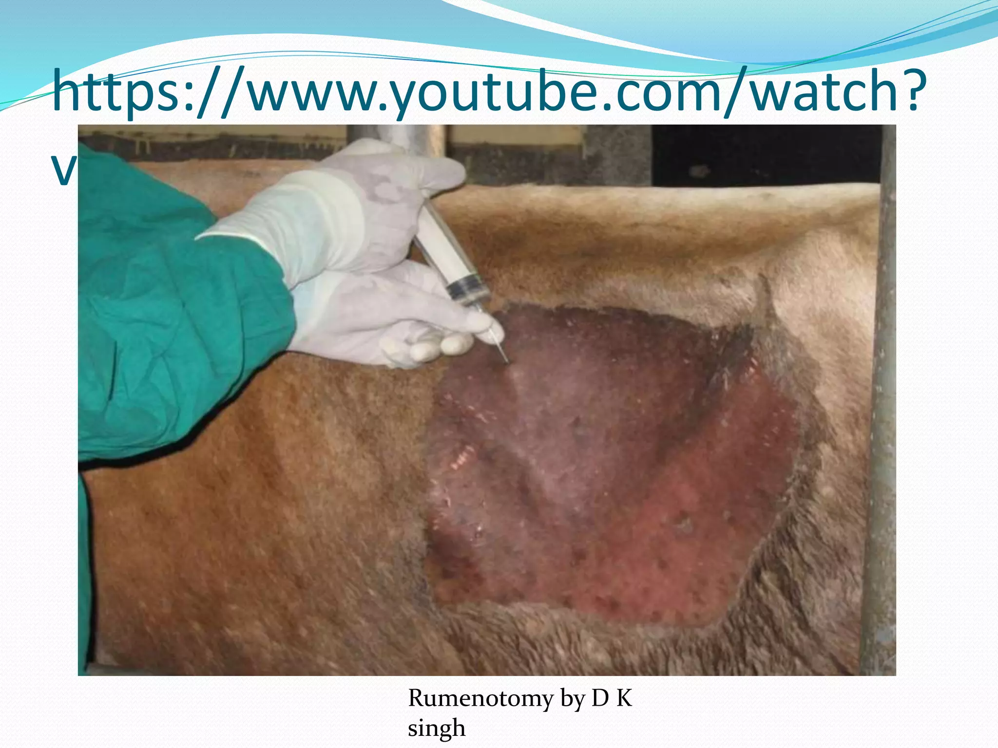 Traumatic reticuloperitonitis , traumatic pericarditis | PPTX