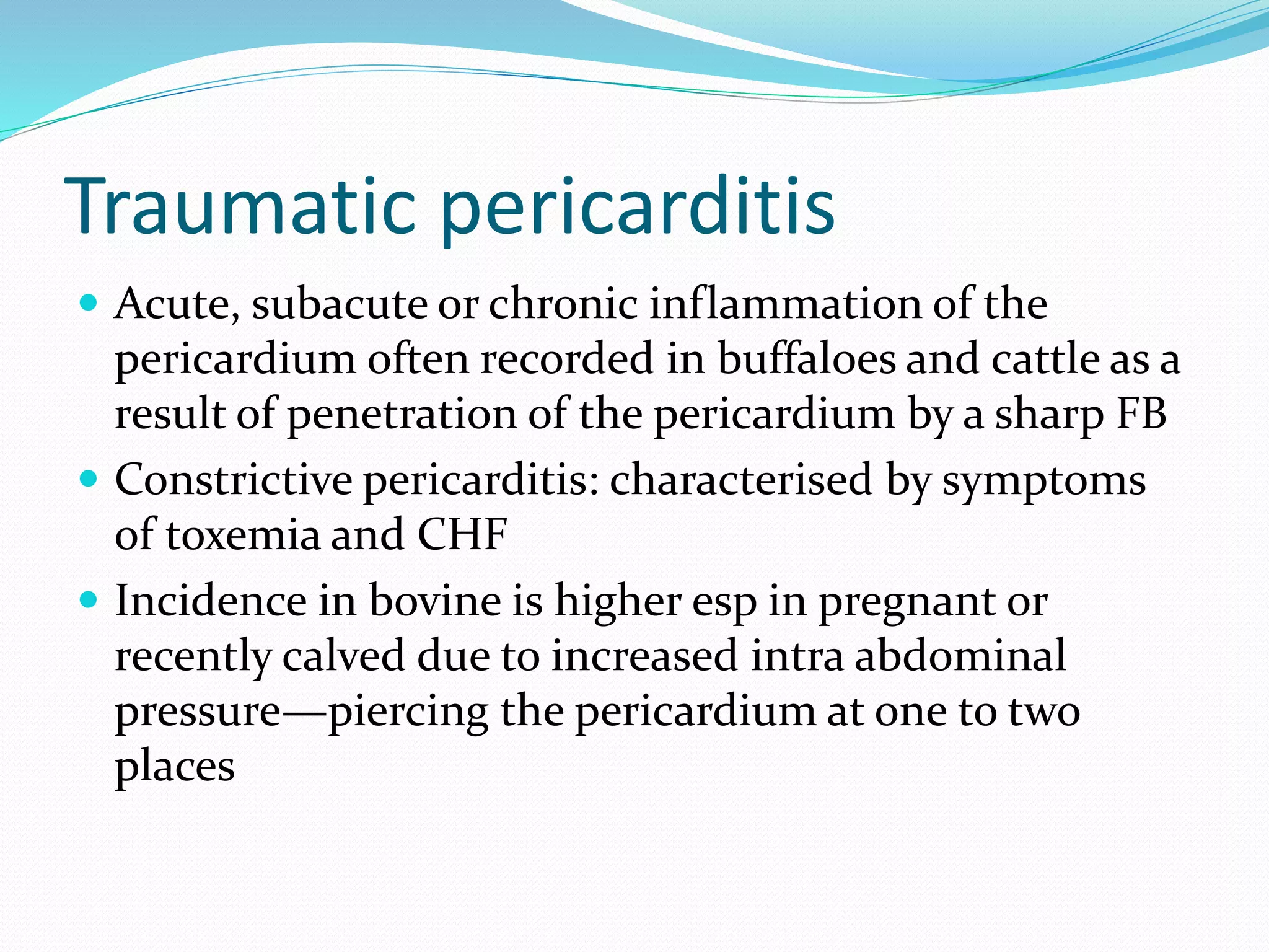 Traumatic reticuloperitonitis , traumatic pericarditis | PPTX