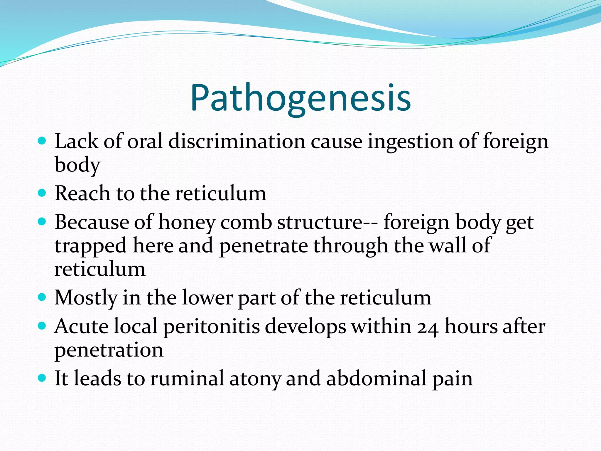 Traumatic reticuloperitonitis , traumatic pericarditis | PPTX