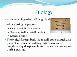 Traumatic reticuloperitonitis , traumatic pericarditis | PPTX