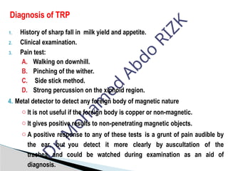 Traumatic reticuloperitonitis in ruminants | PPT