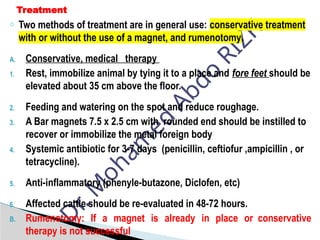 Traumatic reticuloperitonitis in ruminants | PPTX