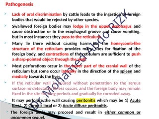 Traumatic reticuloperitonitis in ruminants | PPTX