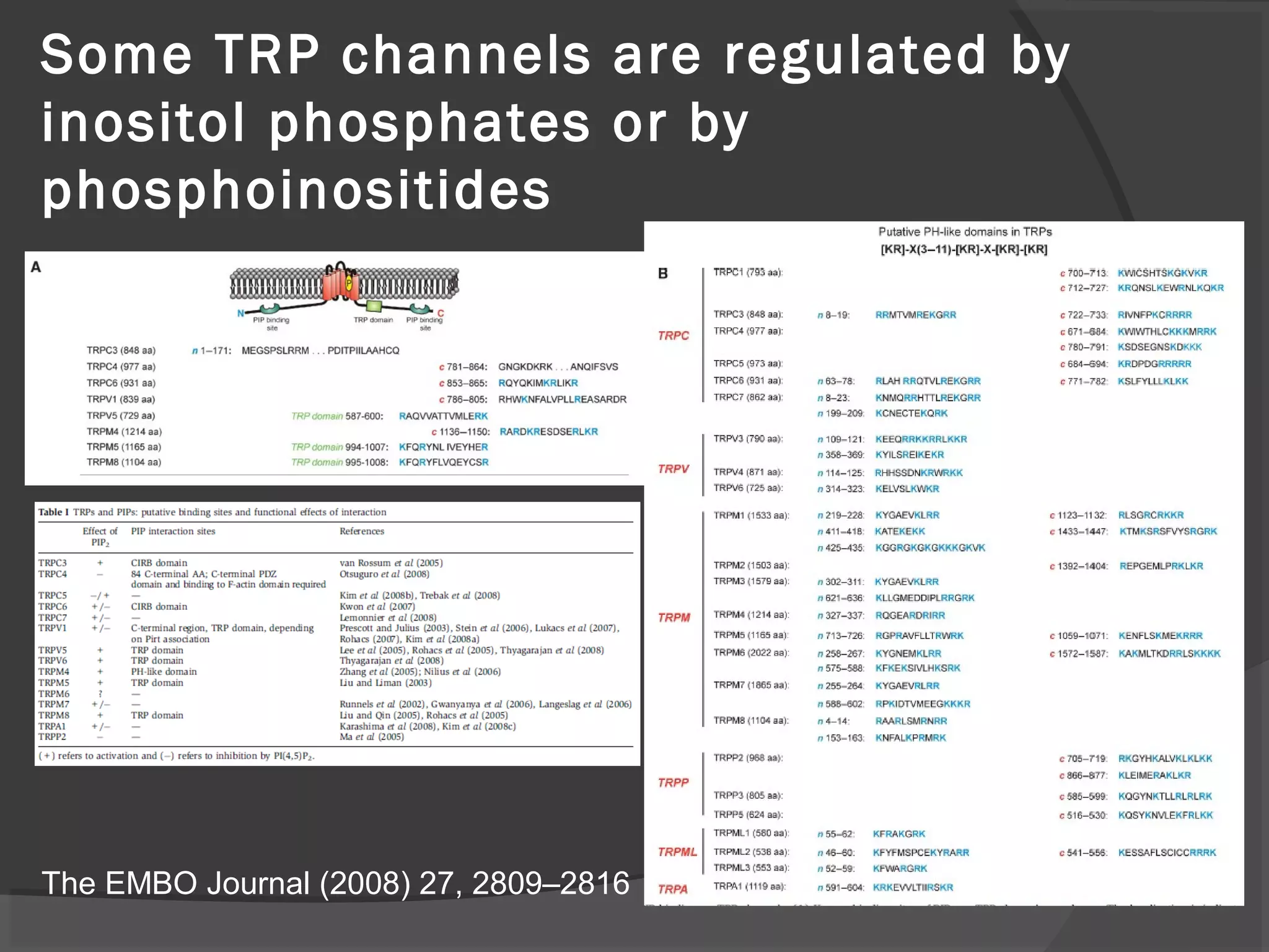 Trp channels | PPT