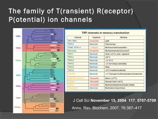 Trp channels | PPT