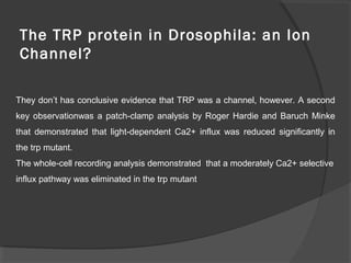 Trp channels | PPT