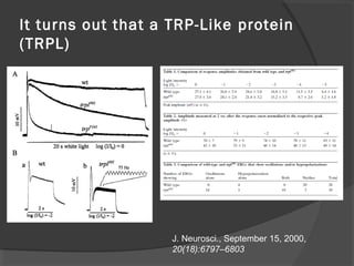 Trp channels | PPT