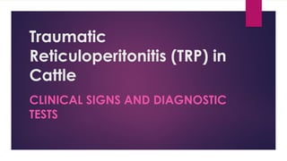 TRP_Clinical_Signs_and_Diagnostics_Updated.pptx