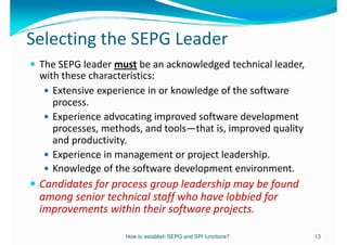 How to establish SEPG and SPI functions? | PDF