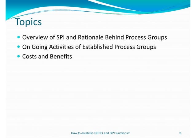 How to establish SEPG and SPI functions? | PDF | Business Administration | Business