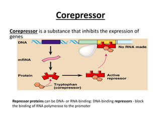 Trp operon | PPTX